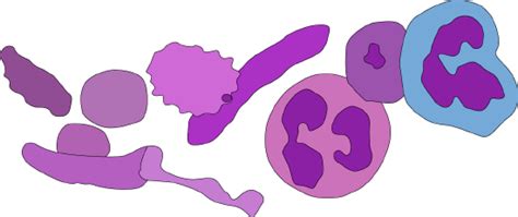 Platelets Definition