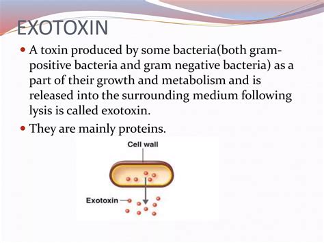 Exotoxins And Endotoxinspptx