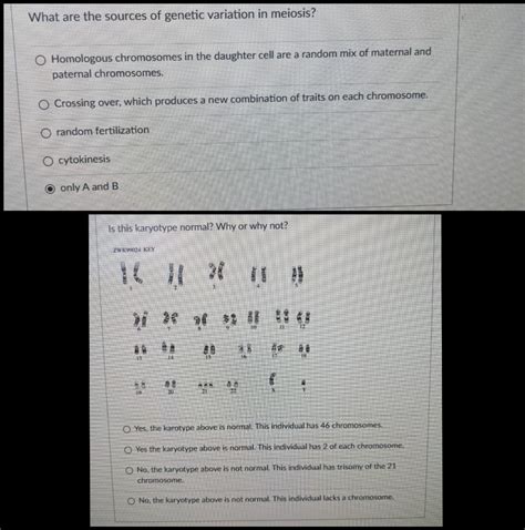 Solved What Are The Sources Of Genetic Variation In Meiosis