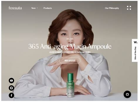 网页设计布局：空间与功能的精心策划