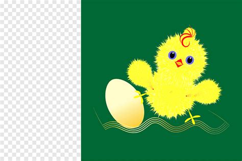 닭고기 달걀 노랑 초록 봄 Png Pngegg