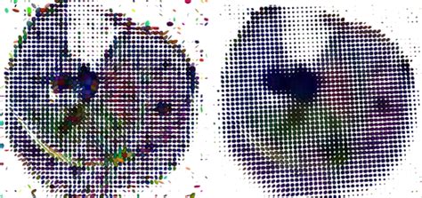 Estimated Tensors Without Regularization Tensors Obtained With Our Method Download Scientific