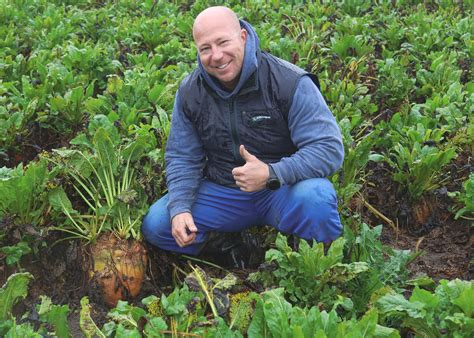 Managing Fodder Beet Dbc Tailor Made Feeding Solutions For Dairy