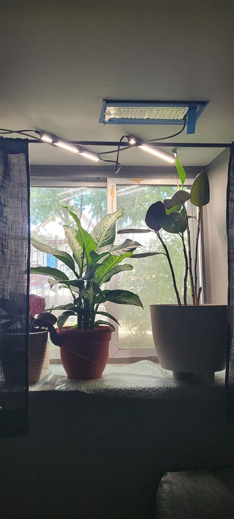 the next step is to automate them r houseplants