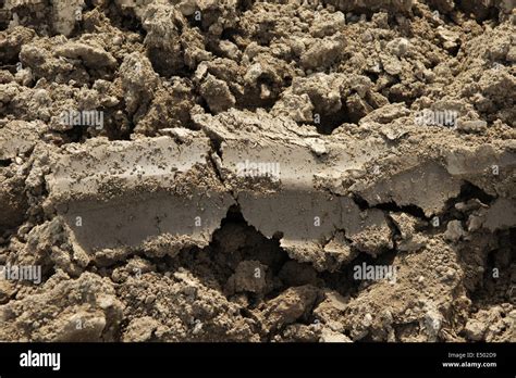Loamy Soil Hi Res Stock Photography And Images Alamy