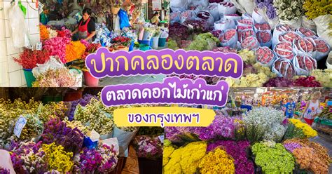 ปากคลองตลาด ตลาดดอกไม้เก่าแก่ ที่เที่ยวกรุงเทพฯ ชิล ๆ