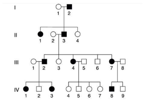 Exam 1 Book Questions Flashcards Quizlet