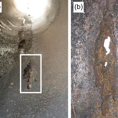 Surface Profile Of The Pipeline Along The Flow Direction Download