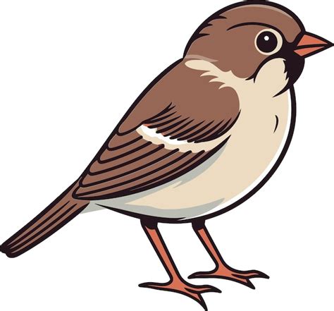 рисунок птицы с коричневым и белым лицом Премиум вектор