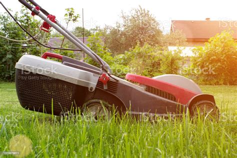 잔디를 자르는 무성한 녹색에 잔디 깎는 기계 원예 및 조경 개념 0명에 대한 스톡 사진 및 기타 이미지 0명 기계류 밀기 Istock