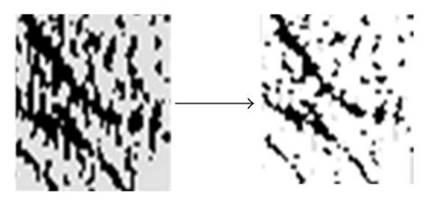 Palmprint Sobel Operation Processed Download Scientific Diagram