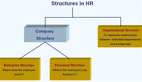 What Is Structures In SAP Different Types Of Structures ERP Q A