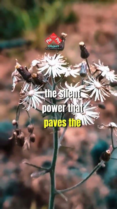 Mastering Yourself Youtube