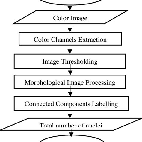 Proposed Approach Flowchart Download Scientific Diagram