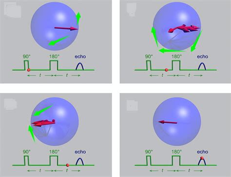 Protecting Non Hermitian Process Evolution From Noise By Dynamically Decoupling Inews