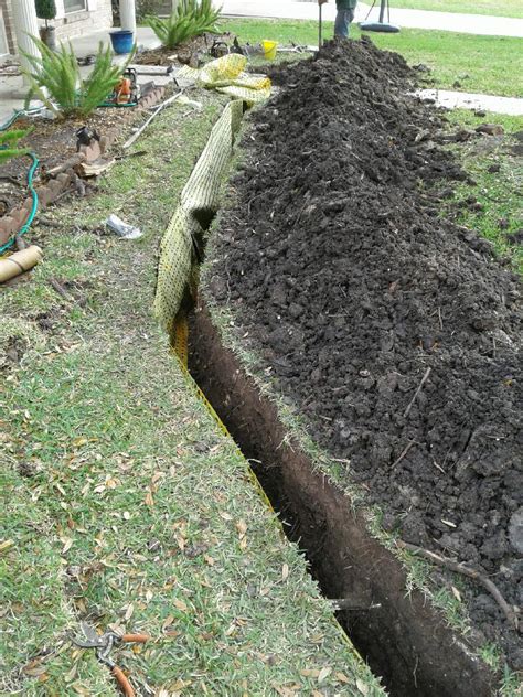 Tree Root Barrier Installation Katy Sugar Land Houston Fulshear Living Trees Shrubs