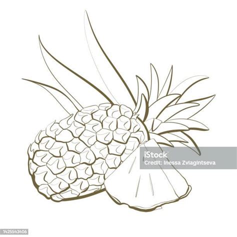 간단한 디자인 요소 윤곽선 스케치 메뉴 포장 천연 화장품 및 식품 신선한 과일 이국적인 나무 파인애플 과일 흰색 배경에 고립 된 잎 근접 촬영 과일에 대한 스톡 벡터 아트