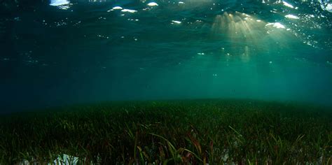 400 Ocean Blue Backgrounds