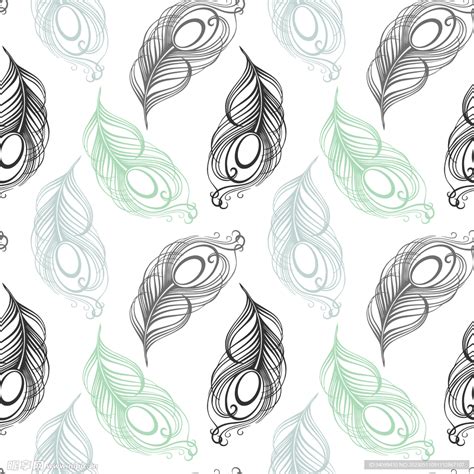 孔雀羽毛图案设计图 广告设计 广告设计 设计图库 昵图网