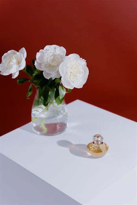 고요한 꽃 꽃무늬 꽃병 꽃잎 나뭇잎 냄새 단순한 독창성 돌보다 라이프스타일 럭셔리 로맨스 로션 매우 복잡한 미니멀리스트 미용 제품 미용술