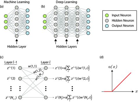 Illustrations Of Conventional Feedforward Networks With Ml A And Dl