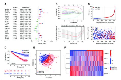 Risk Model Construction Based On The Args Prognostic Signature In Download Scientific Diagram