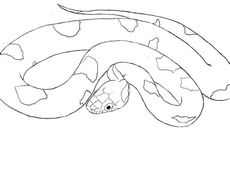 How To Draw A King Brown Snake Snakes Step By Step Vrogue Co