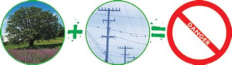 Tree And Power Line Safety