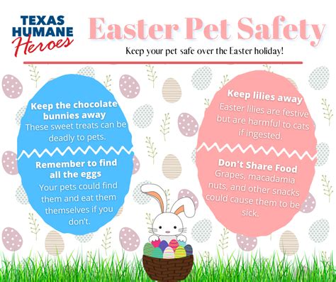 Bluebonnet Animal Hospital Riverside Vet Pet Of The Week Meet Logan