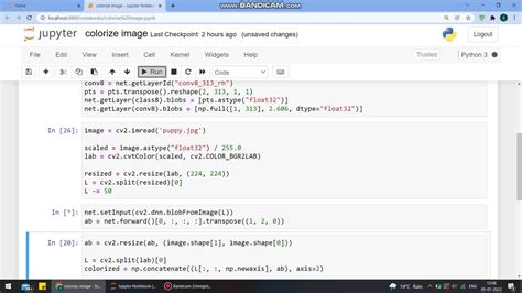 Suryadeepti Singhal On Linkedin Colorrestoration Imageprocessing Image Computervision