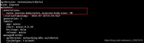 Ingress上传大小限制问题配置ingress设置文件上传大小 Csdn博客