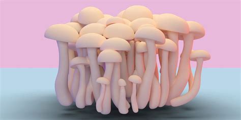 Mushrooms And Sex We Explore The Latest Libido Boosting Trend