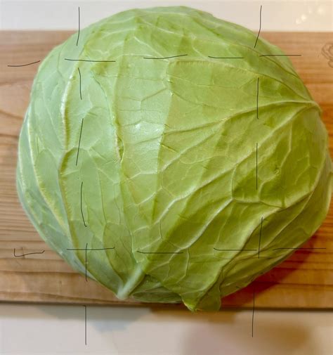 양배추찜과 양배추쌈밥