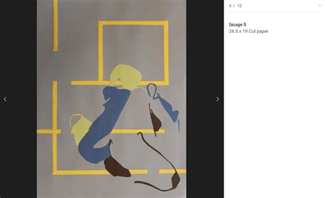 Sustained Investigation Examples Photography