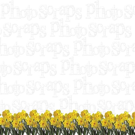 Daffodil Border Photo Scraps