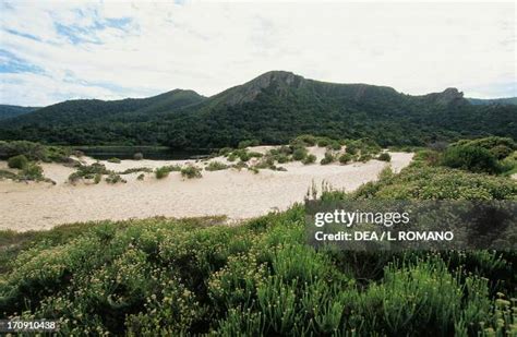 Groot River Western Cape Photos And Premium High Res Pictures Getty