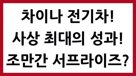 차이나 전기차 Solactive 주가 전망 타이거 Tiger Etf 레버리지 중국 2차전지 배터리 주식 장기 투자 장투 단타 구성 종목 서프라이즈가 기다린다 Youtube