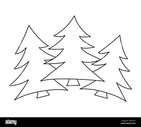 Vector Black And White Fir Tree Set Woodland Or Forest Evergreen Plant