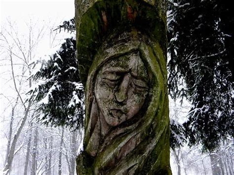 Hippie Witches Bohemian Paradise Weird Trees Tree Carving Tree Spirit