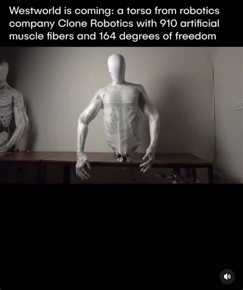 Nick Abregu On Linkedin Robotics Ai Innovation Humanoidrobots