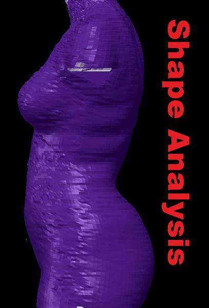 Shape Analysis