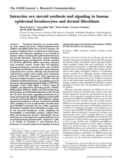Intracrine Sex Steroid Synthesis And Signaling In Human Pdf Estrogen Biology