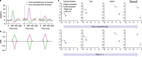 Reward Prediction Errors Of The Simulated Agent Reflect Inferred Value