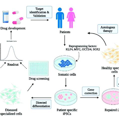 Schematic Diagram Of Ipsc Based Cell Therapy Created By