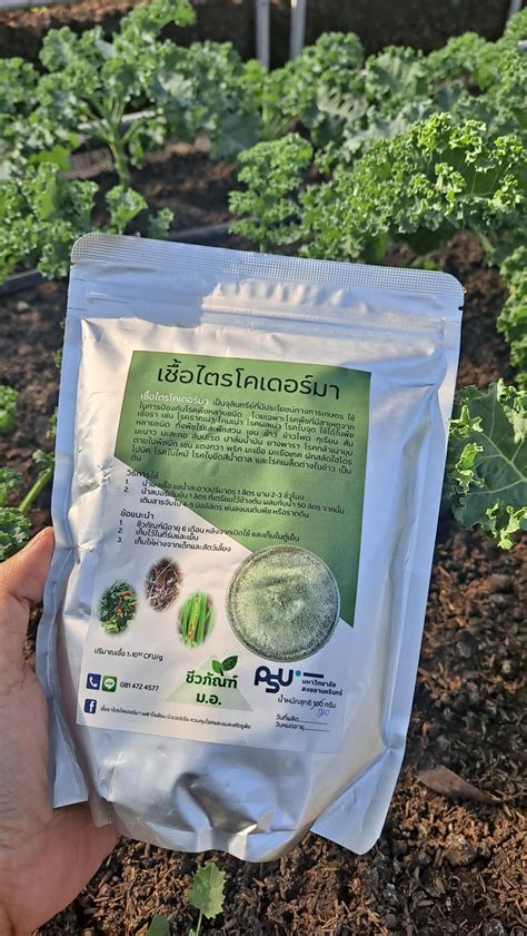 เชื้อราไตรโคเดอร์มา เมธาไรเซียม บิวเวอร์เรีย ควบคุมโรคและแมลงศัตรูพืช