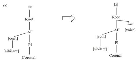 28 Segments Structures In Fricative Substitution Download