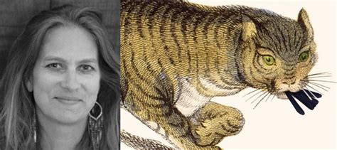Stories We Love The Bobcat” By Rebecca Lee Fiction Writers Review