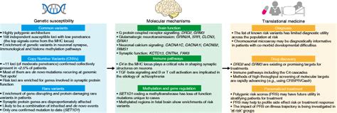 A Schematic Flow Of Translational Research Diagrams Show A Pipeline Download Scientific
