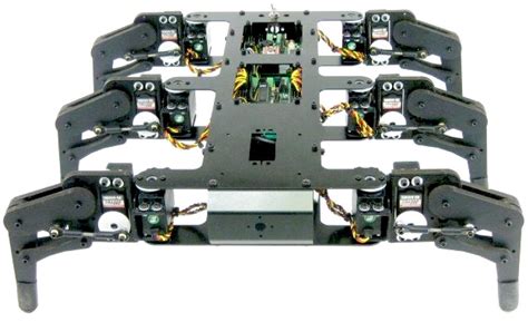 giant hexapod robot ant farms kits diy build your own do it yourself