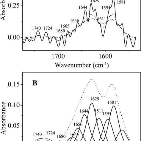 A Fourier Self Deconvolution Of An Unprocessed Transmission Ftir